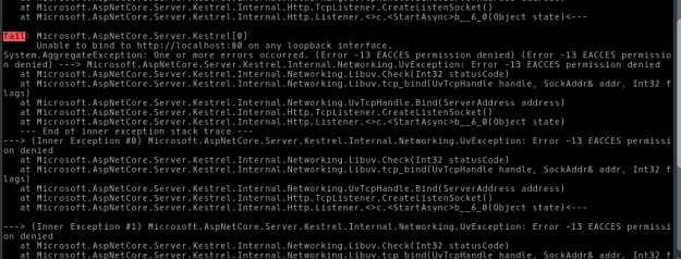Creating And Hosting ASP.NET Core Application On Linux