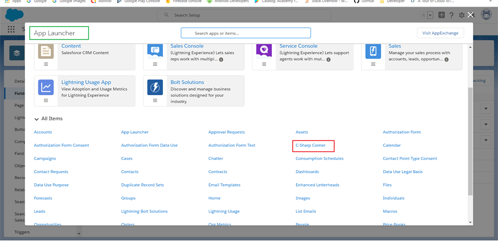 Creating Custom Fields In Salesforce Lightning Platform