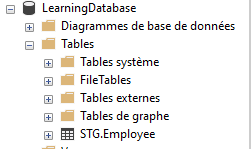 Design The Full Load And Delta Load Patterns In SSIS