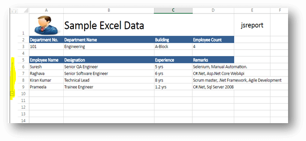 Different Formats In Report Generation Using Jsreport Server