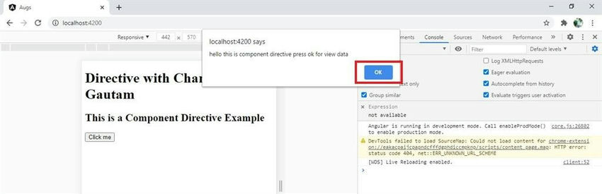 Directives In Angular And Their Functions Using Node.js & VS Code