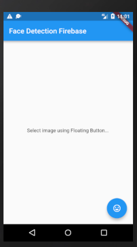 Face Detection In Flutter With MLKit And Firebase