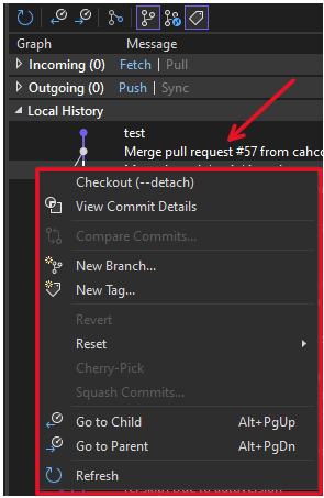 Git GUI Clients (1), Visual Studio