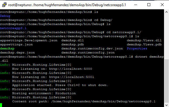 Hello World .NET Core On Linux