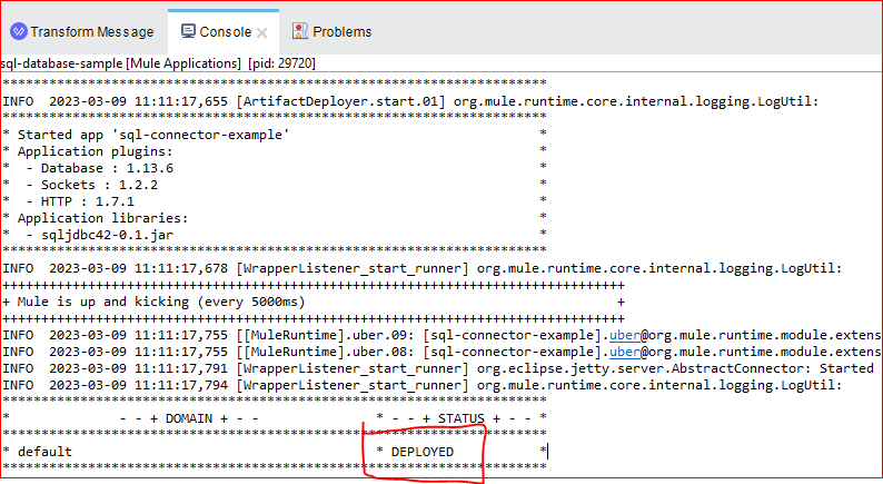 How To Call Stored Procedure With Mulesoft