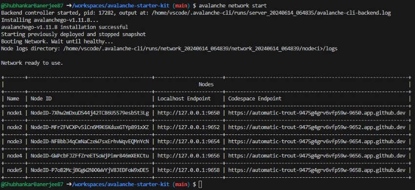 How to Deploy an Avalanche Subnet Locally with Avalanche CLI
