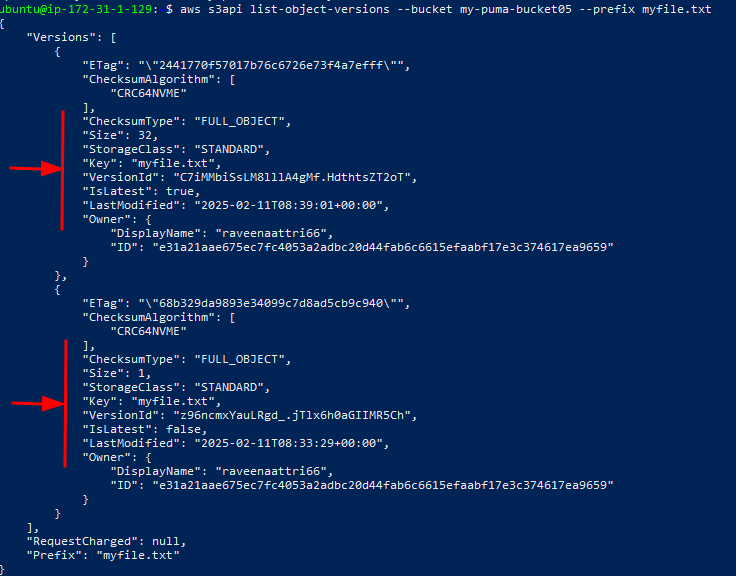 How to Enable S3 Versioning and Manage File Versioning How to Enable S3 Versioning and Manage File Versioning