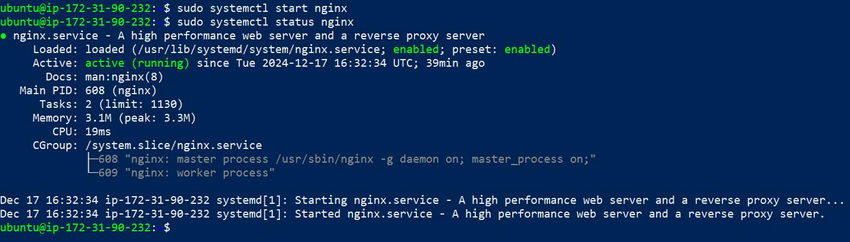 How to Install Nginx on EC2 AWS