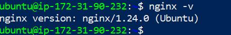 How to Install Nginx on EC2 AWS