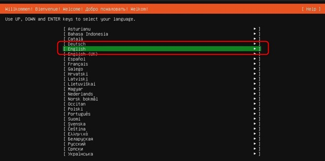 How to Install Ubuntu Server on VMware ESXi Using VMware Client Browser