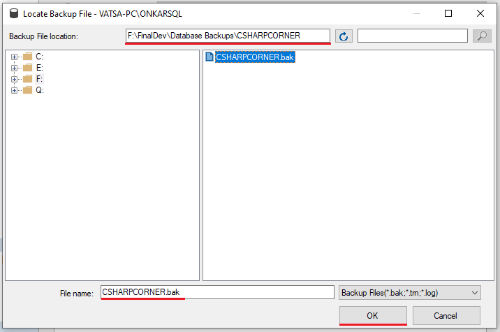 How To Restore Same Database With Different Names In SQL Server