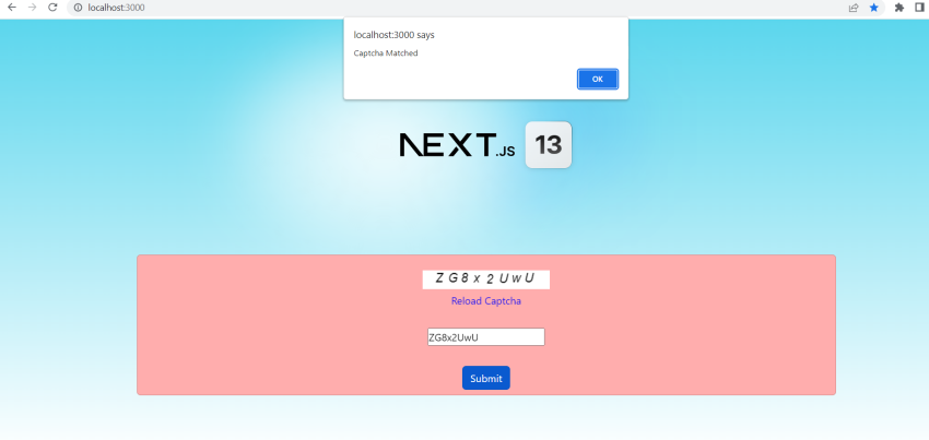 How To Use Captcha In Next JS App
