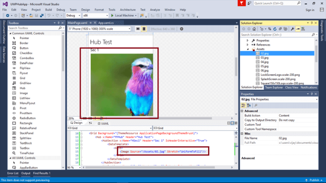 How To Use Hub Control In Universal Application Development With Xaml And C