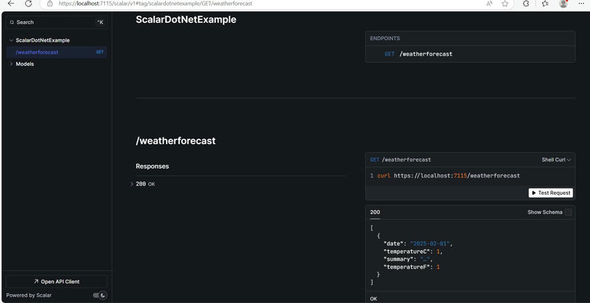 Implement Scalar UI in .NET API with Authorization Option