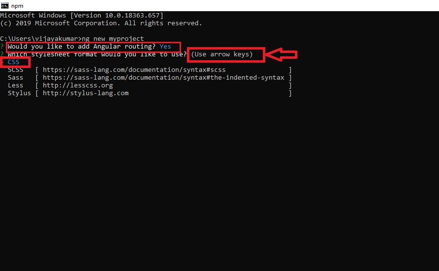Introduction to Angular & How to Set Up an Angular Development Environment