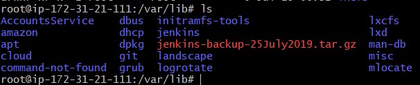 Jenkins Server Backup Using Command Line