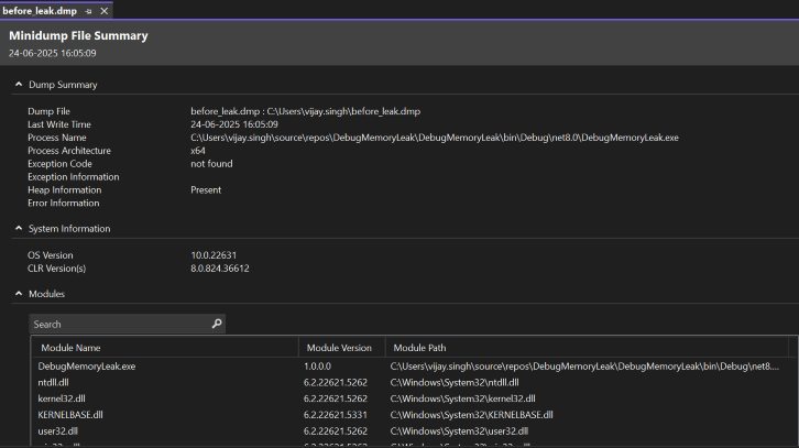 Memory Leak Troubleshooting in .NET Core
