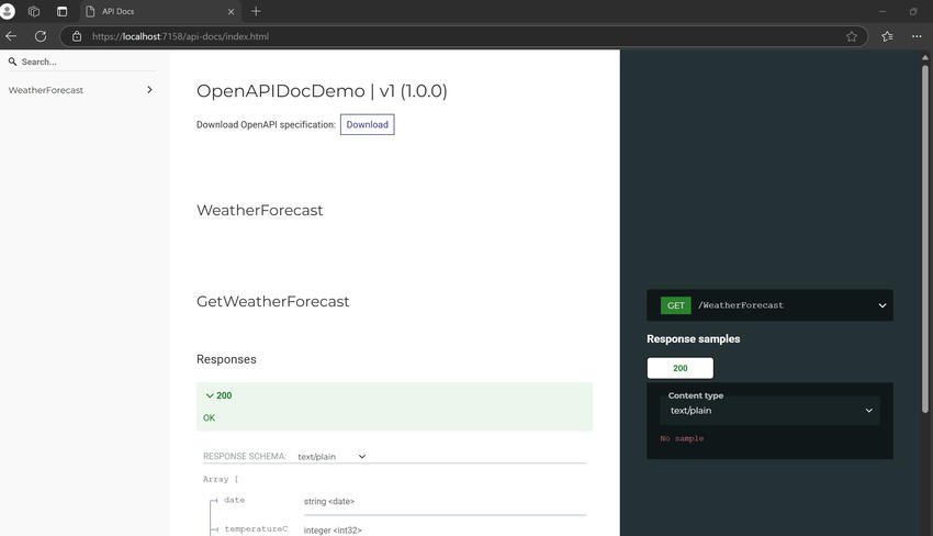 Open API Documentation and Swagger alternatives in .NET 9