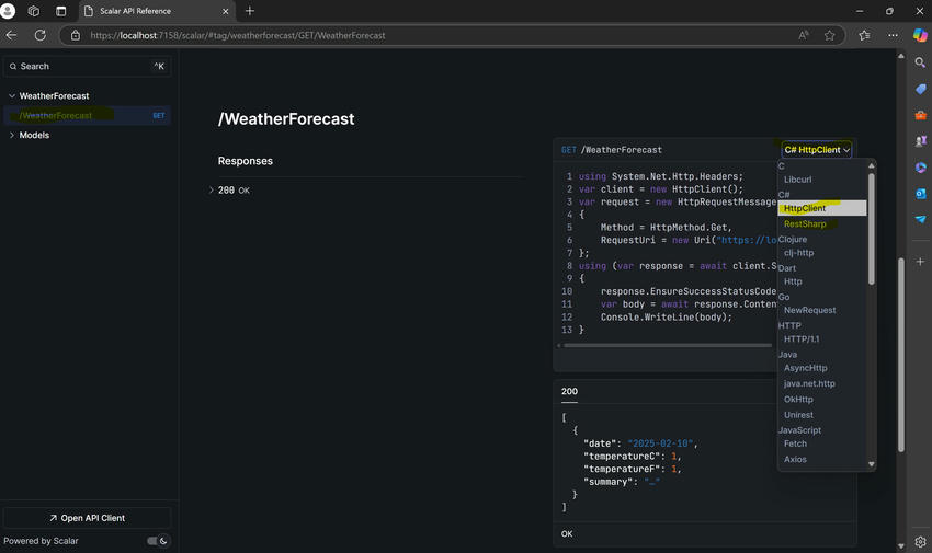Open API Documentation and Swagger alternatives in .NET 9