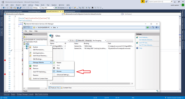 Publish And Host ASP.NET Core Web API On IIS