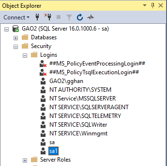 SQL Server Installation: 2022 Developer Edition --- Basic