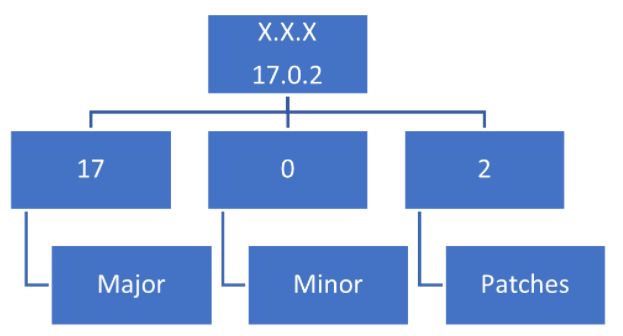 React - Introduction To Package.json File