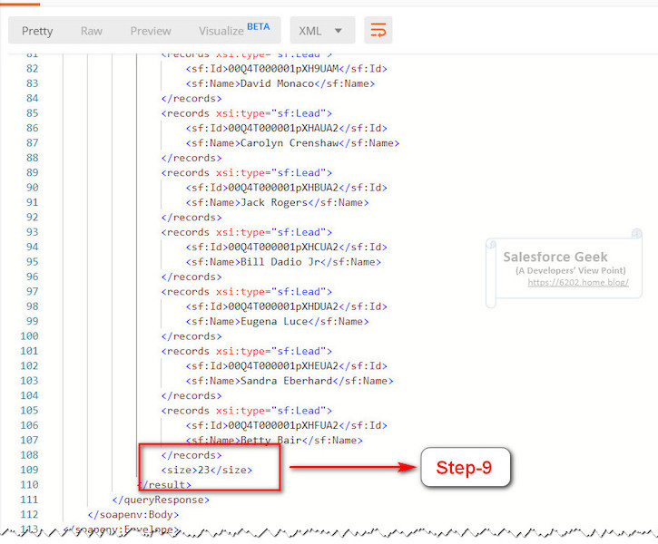 Salesforce SOAP API: POST Request With SOQL Query Envelope [Standard ...