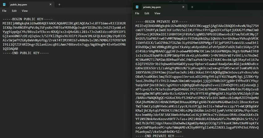 Secure API Payloads Using AES and RSA Encryption in Angular and .NET Core