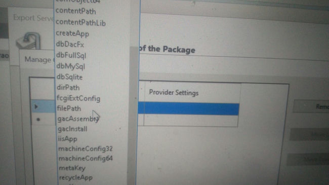 Setup .NET Core on Windows Server with IIS Migration