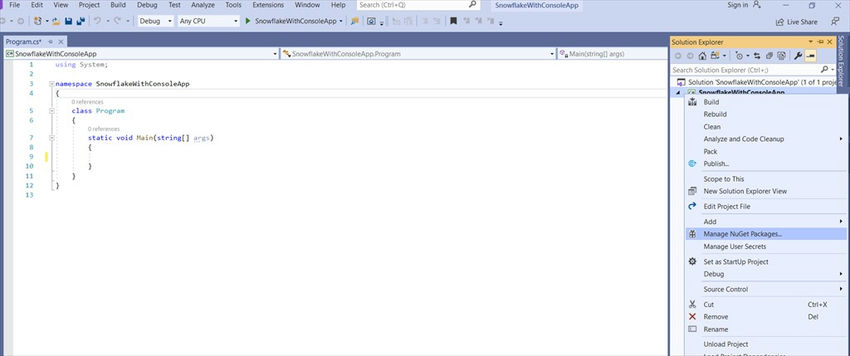 Snowflake With C#.Net Core