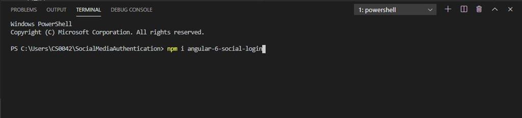 Social Media Authentication in Angular