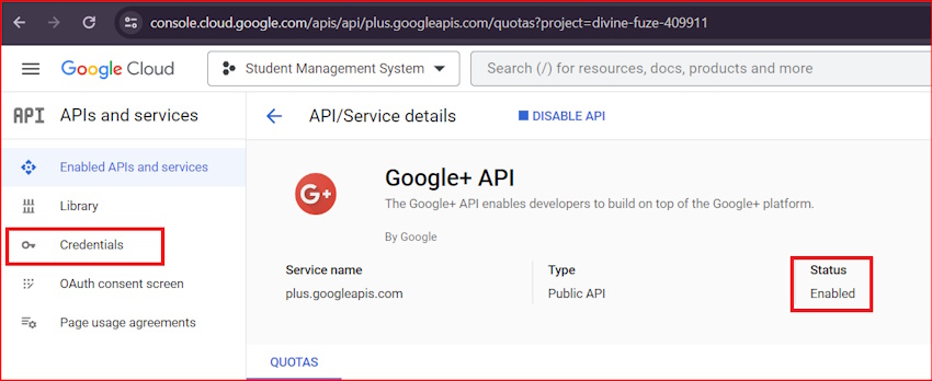Understanding Google OAuth (Open Authorization) Understanding Google OAuth (Open Authorization)