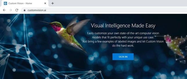 Unlocking the Potential of Azure Custom Vision Service: A Step-by-Step Guide