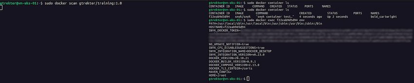 Vulnerability and Dependency Scanning with Docker Scout