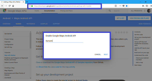 Xamarin.Forms - Google Maps API